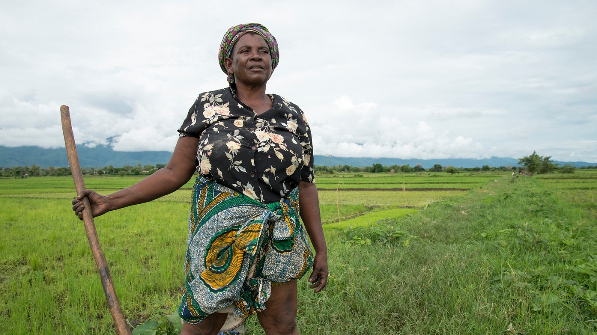 Humanitarian Aid Work and Development Support - ActionAid USA