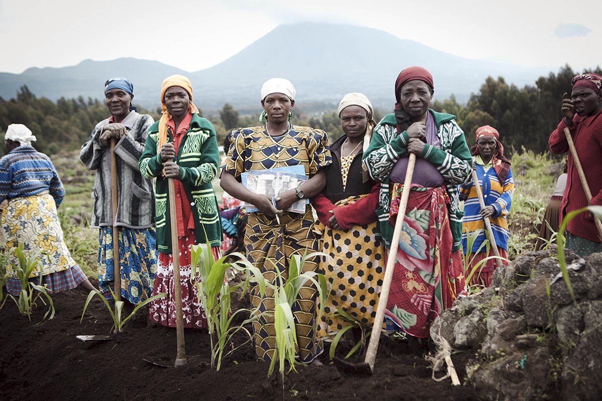 ActionAid USA Giving and Donations - Aid & Development Support