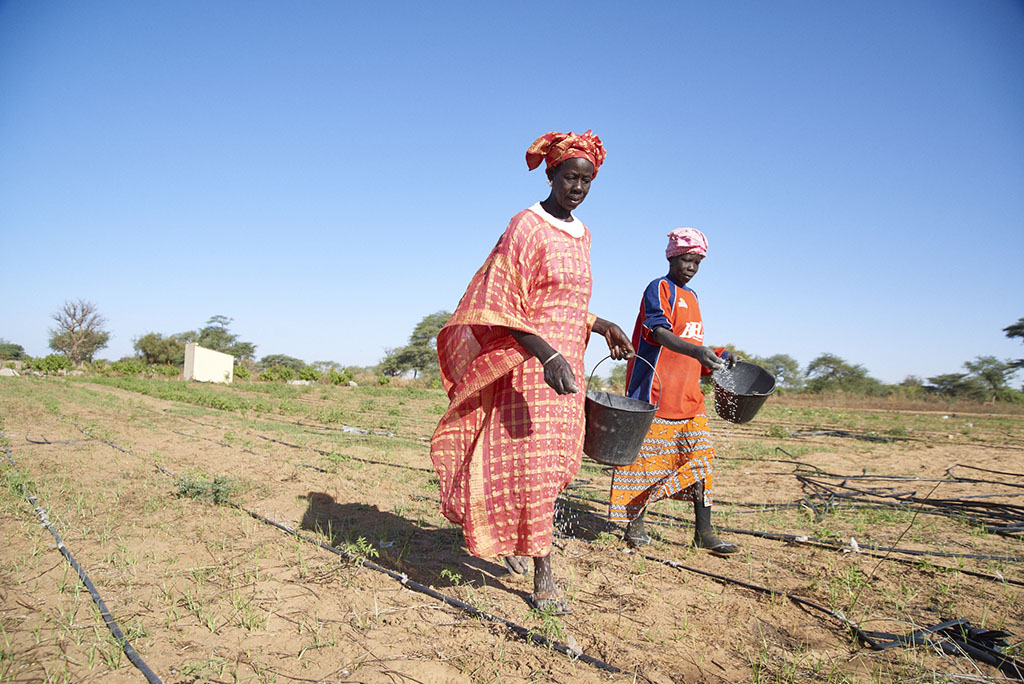 Farmers Improving Food Security in Senegal - ActionAid USA