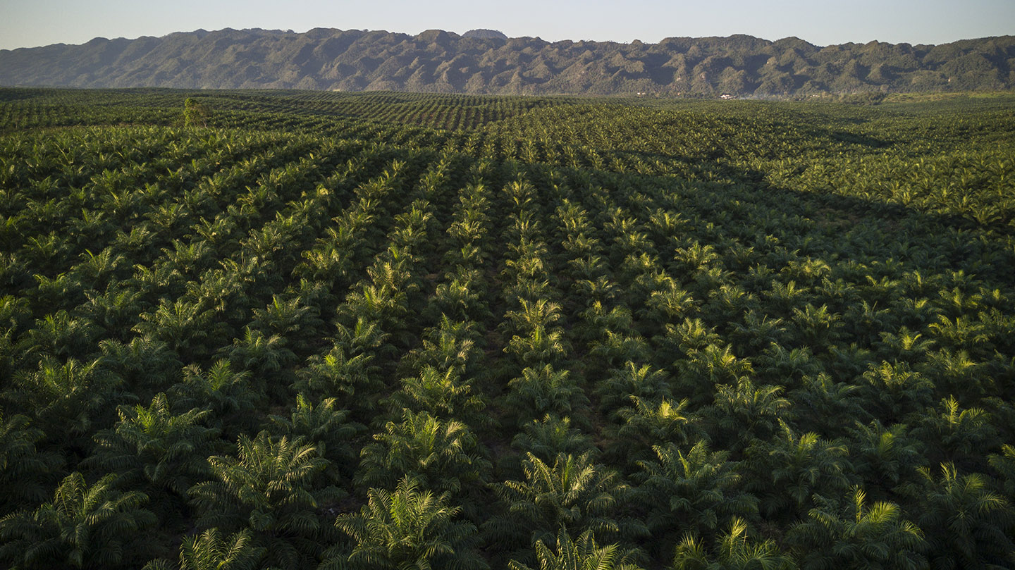 Land and Climate in the Spotlight - ActionAid USA