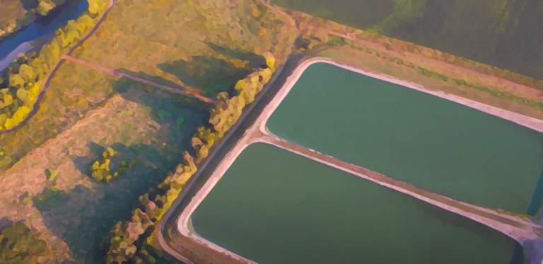 How Corporate Consolidation Affects Livestock Farmers’ Everyday Lives ...