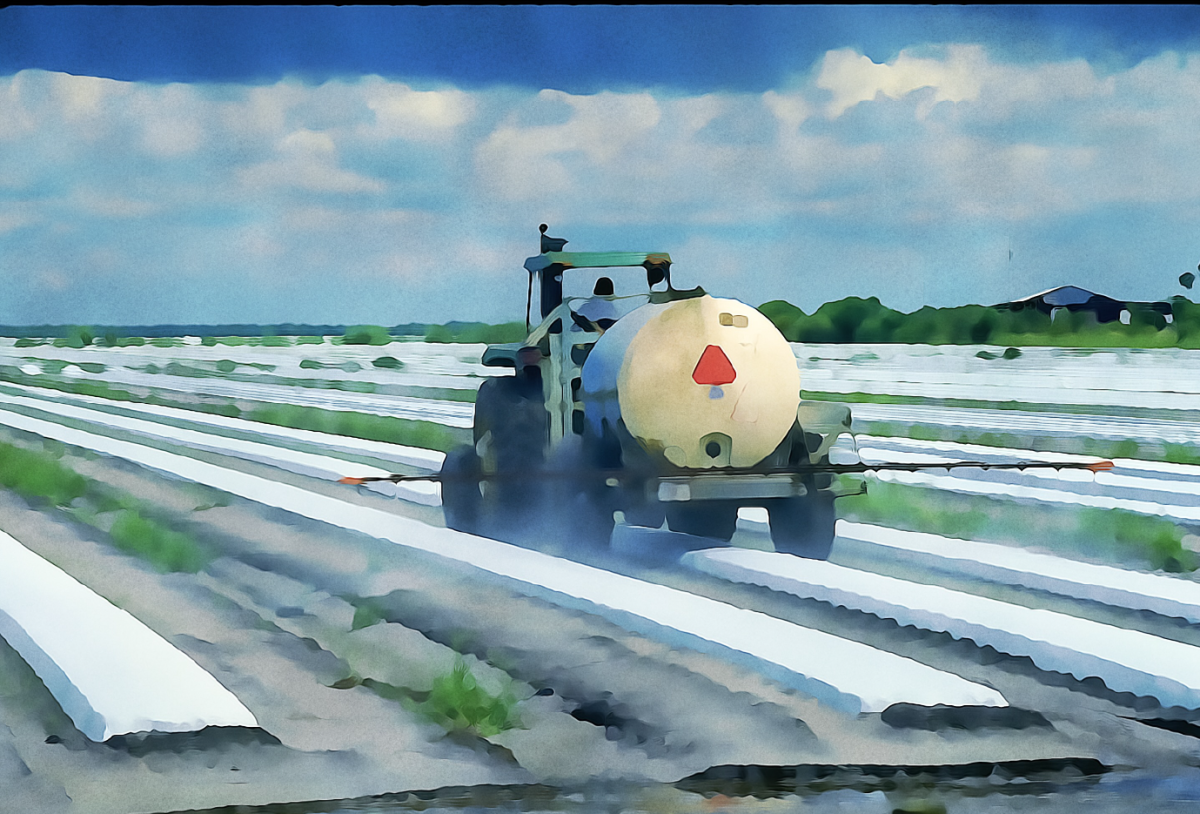 How Corporate Consolidation Affects Row Crop Farmers’ Everyday Lives ...