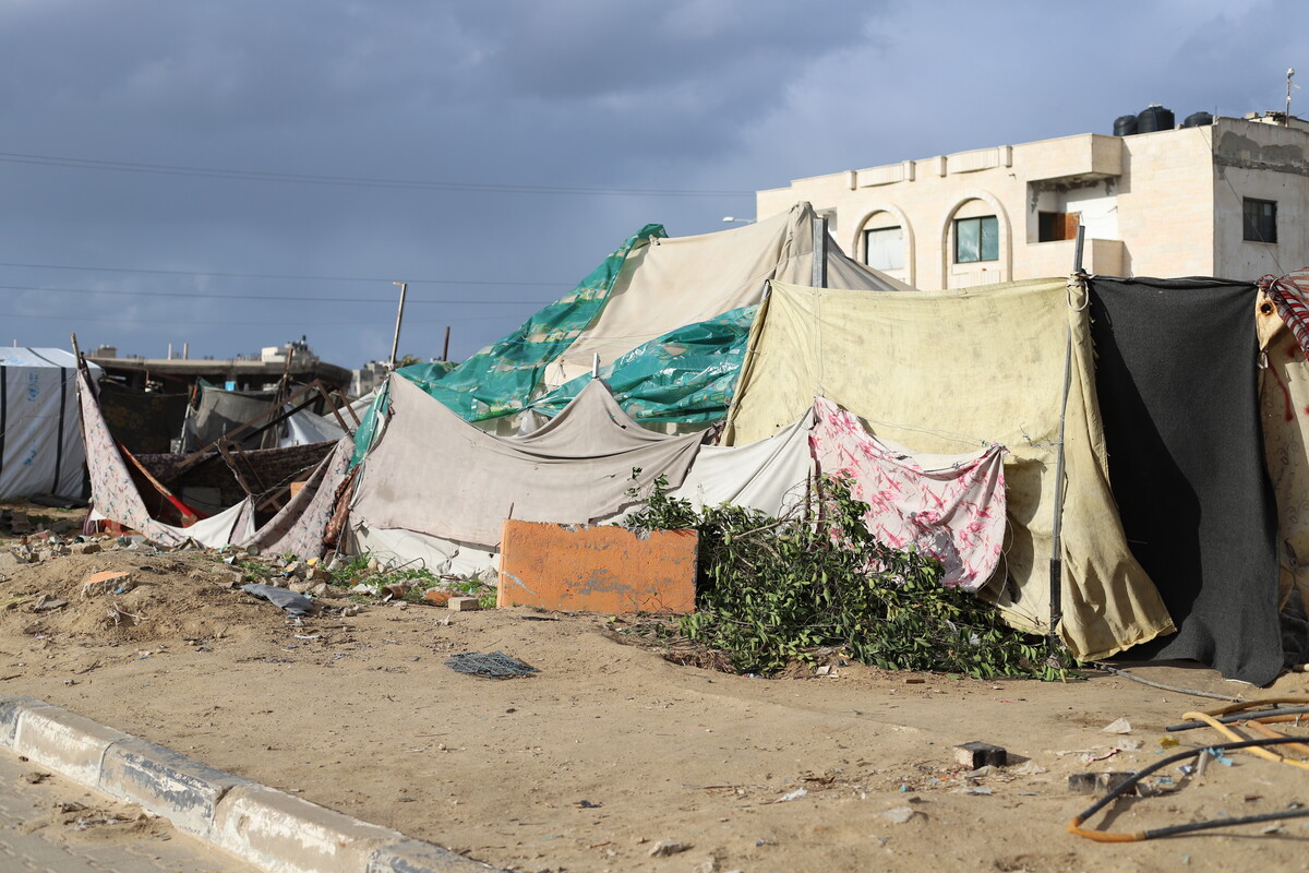 “Every day is a struggle for survival”: Faten’s fight to protect her ...